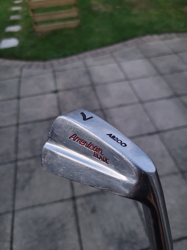 Unknown Club - Any ideas? - Equipment - Advanced Ball Striking Forum