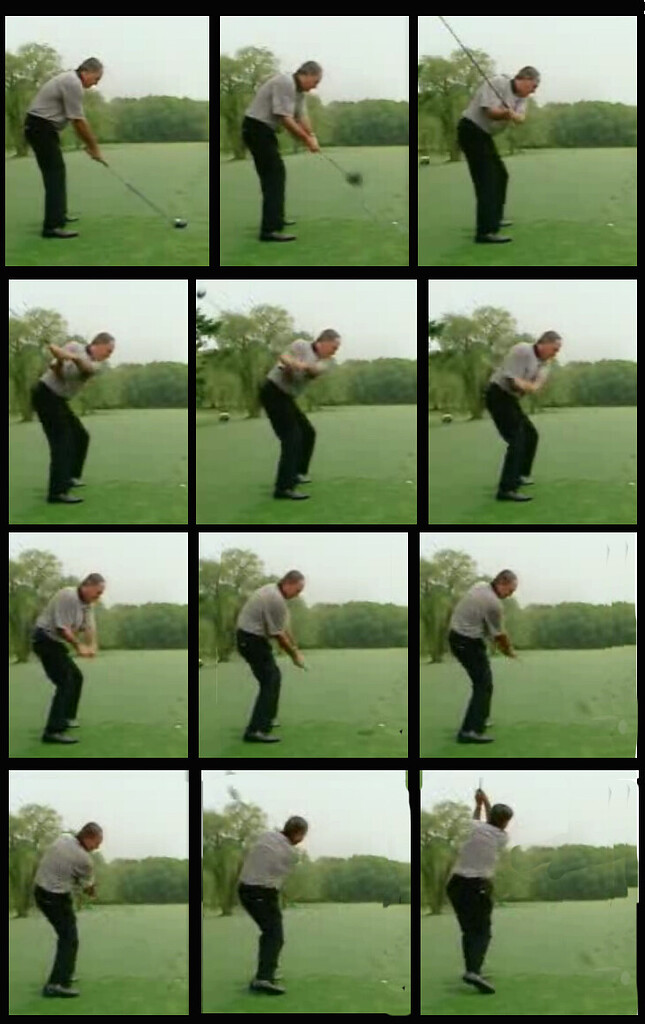Allen Doyle Golf Swing - Public Forum—Concepts in Advanced Ball ...